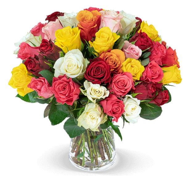 Rosen Strauß mit 41 bunten Rosen| MonsterDealz.de