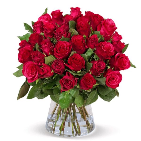 Rosenstrauß mit 33 roten Rosen mit 50cm Länge| MonsterDealz.de