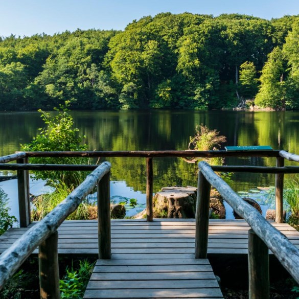 3 Tage im 4* Hotel Vier Jahreszeiten Binz| MonsterDealz.de